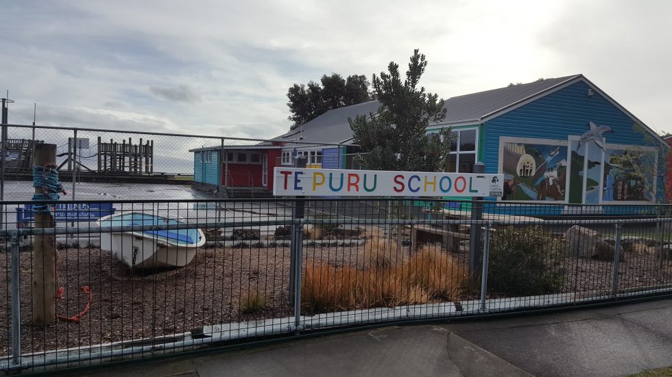 Te Puru School embarks on new Māori carving project - Creative Coromandel