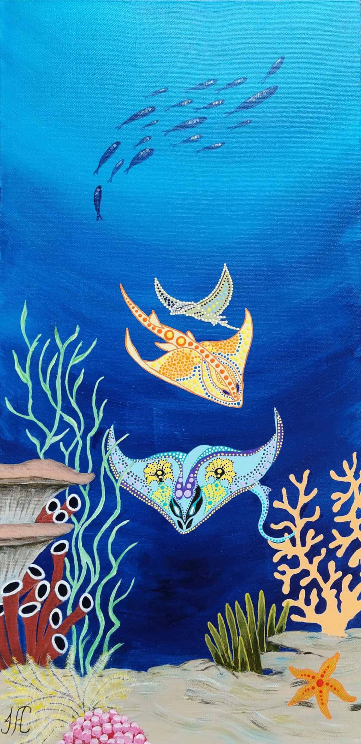 News - Creative Coromandel