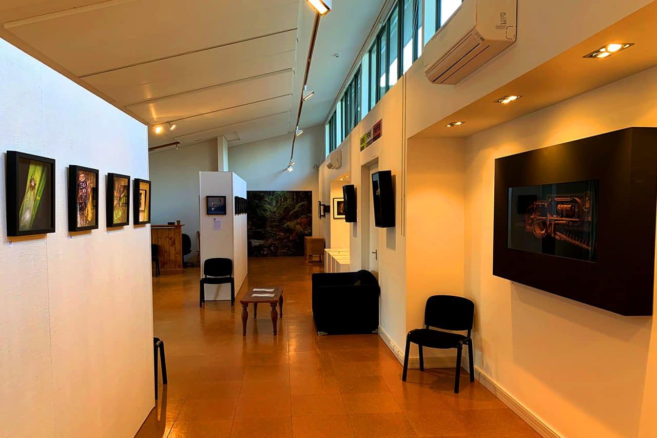 home - Creative Coromandel